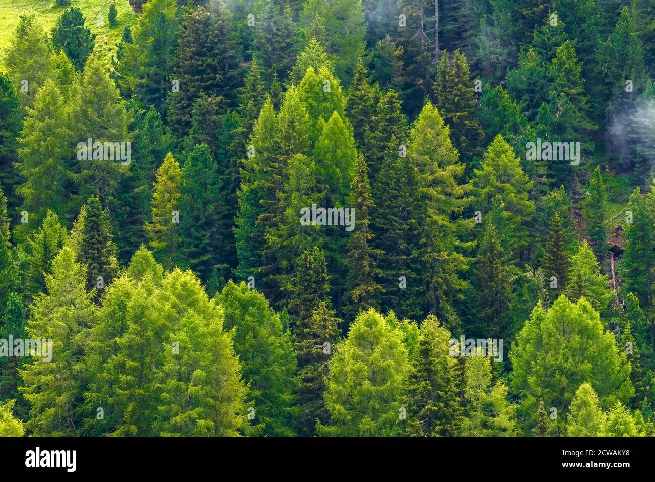 Background Environment High Resolution Stock Photography and Images - Alamy