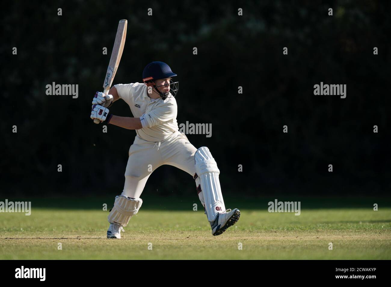 Sport cricket head shot hi-res stock photography and images - Alamy