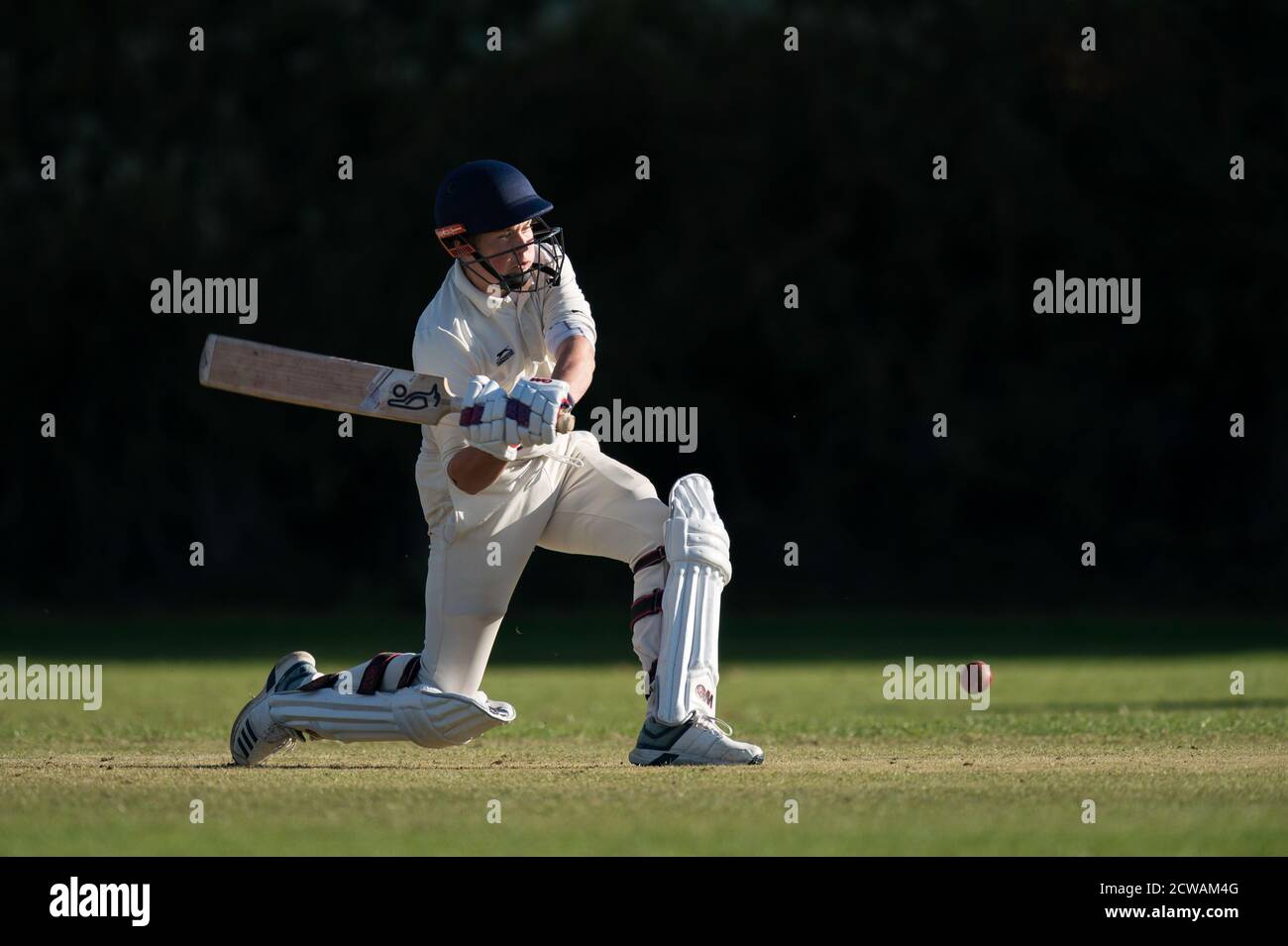 Cricket Head Shot High Resolution Stock Photography and Images - Alamy