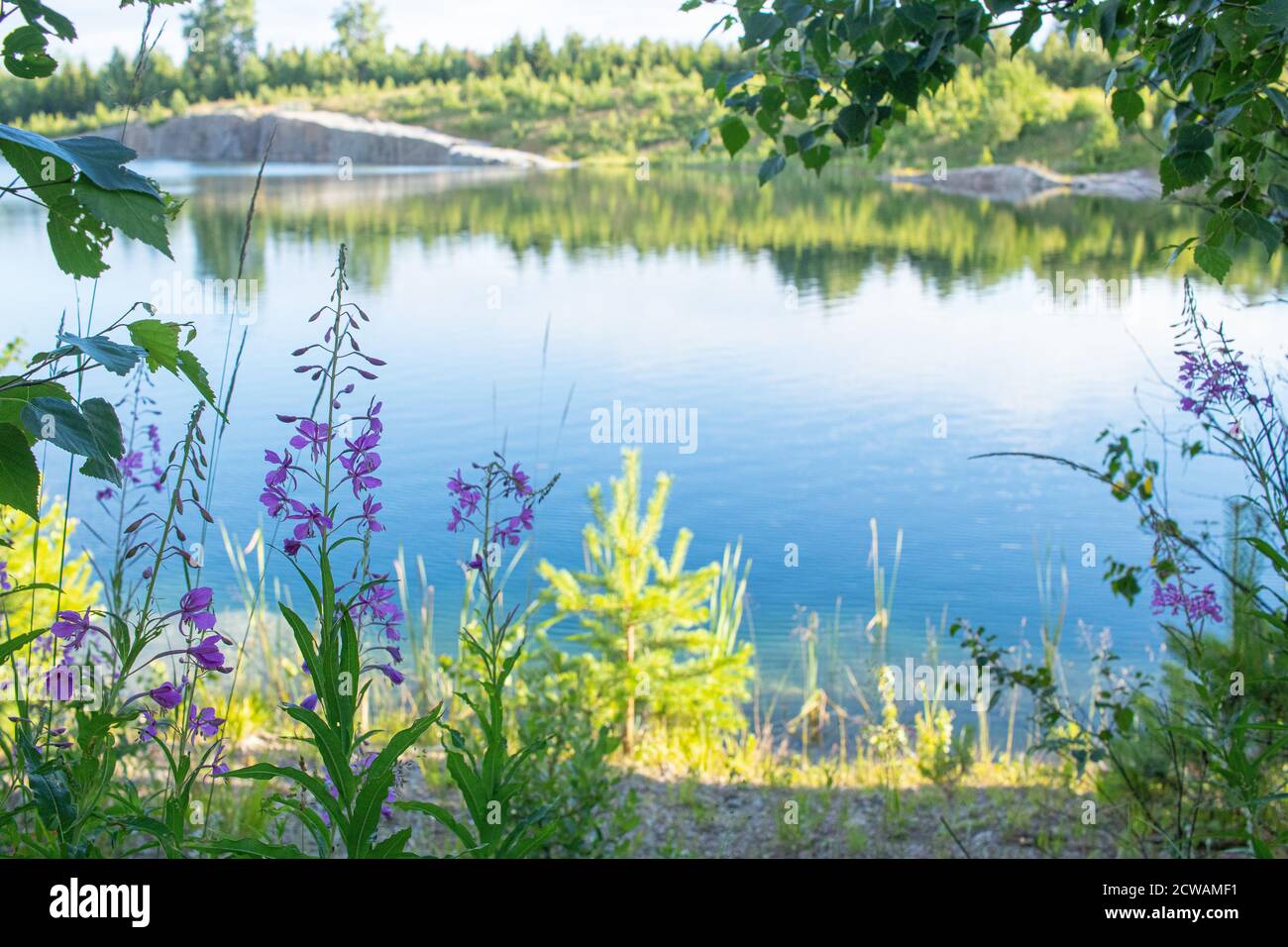 Swedish spring hi-res stock photography and images - Alamy