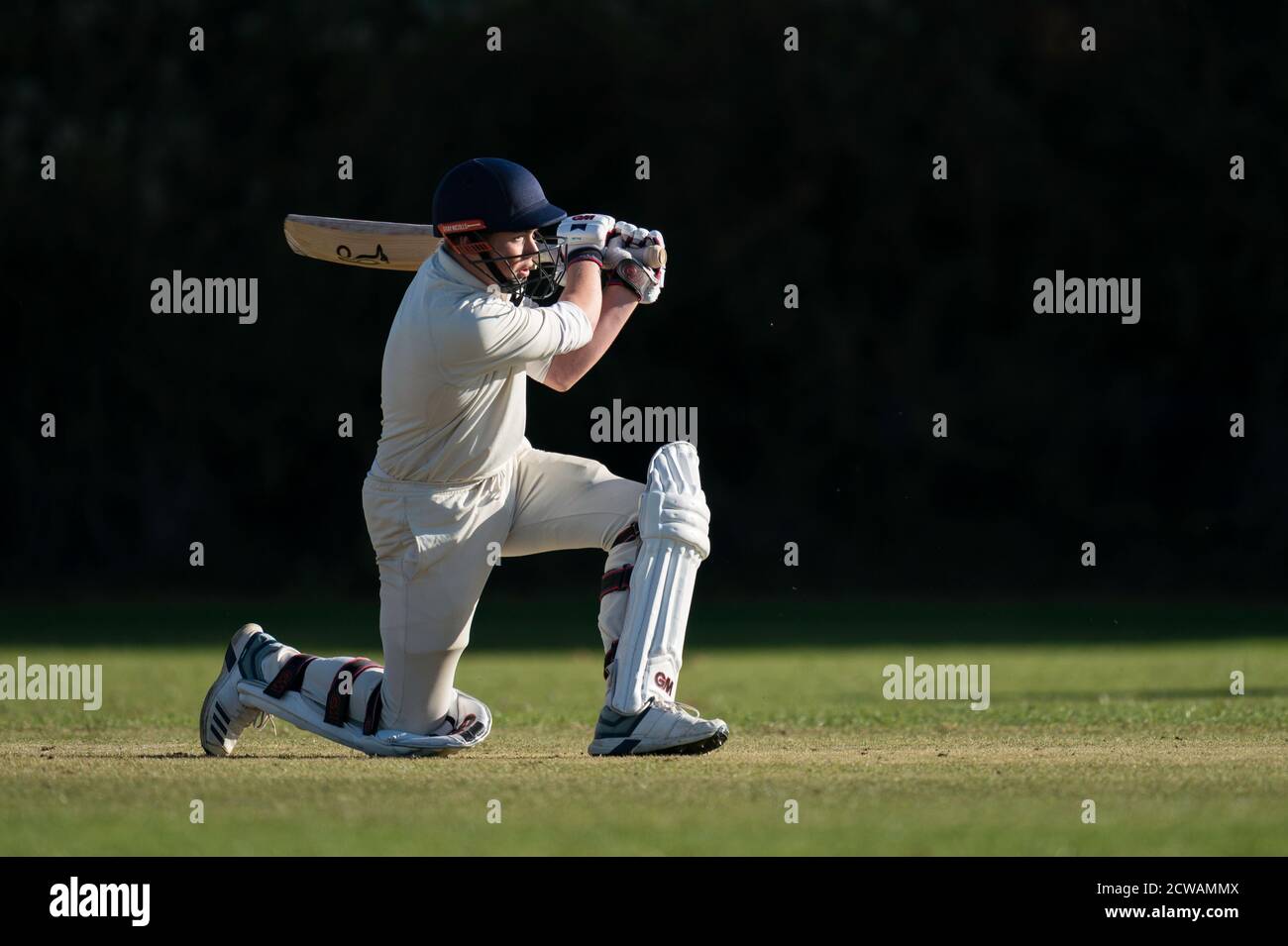 Cricket batsman playing shot Stock Photo - Alamy