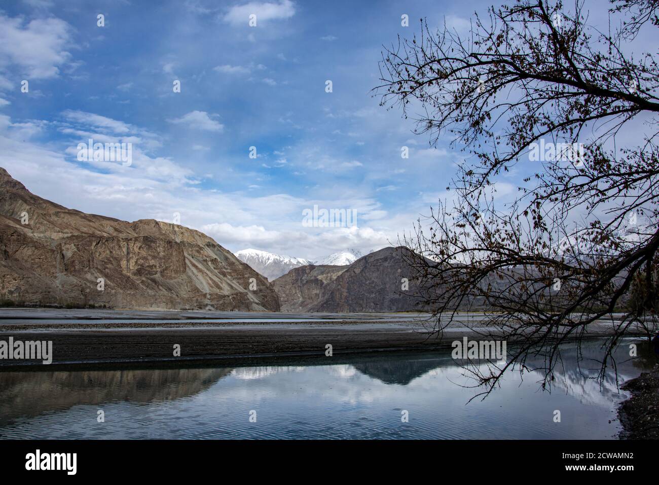 spring landscape photography of cherry blossom in northern areas of ...