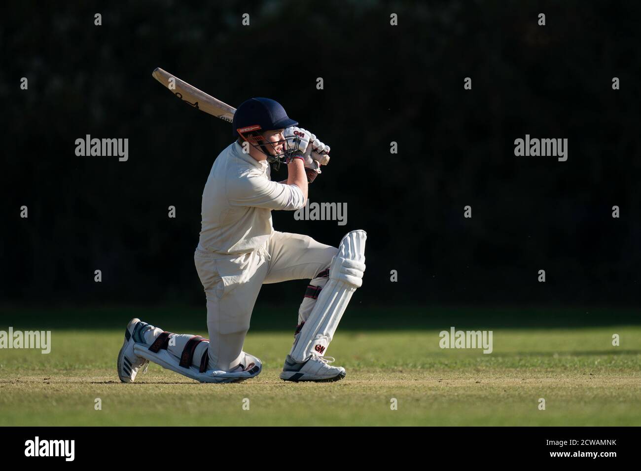 Sport cricket head head shot hi-res stock photography and images - Alamy