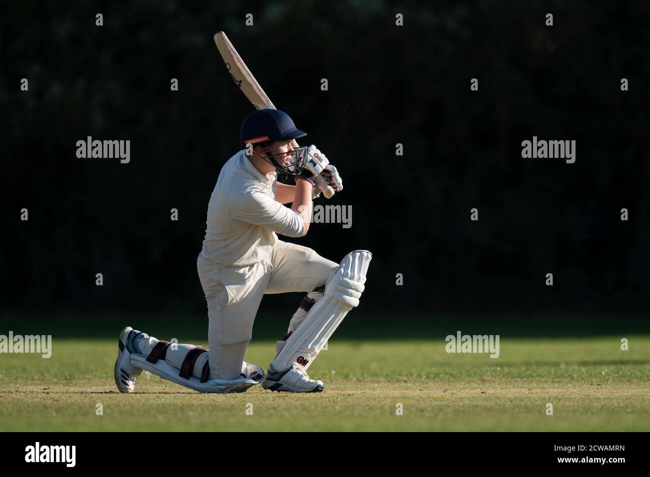 Sport cricket head shot bat hi-res stock photography and images - Alamy