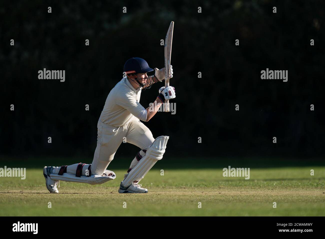 Sport cricket head shot hi-res stock photography and images - Alamy