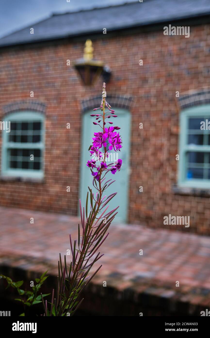 Pelsall North Common Stock Photo - Alamy