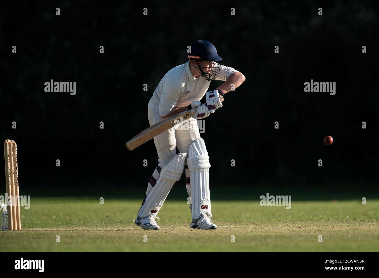 Cricket batsman playing shot Stock Photo - Alamy