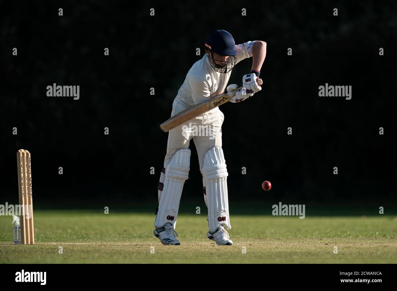 Sport cricket shot action hi-res stock photography and images - Alamy