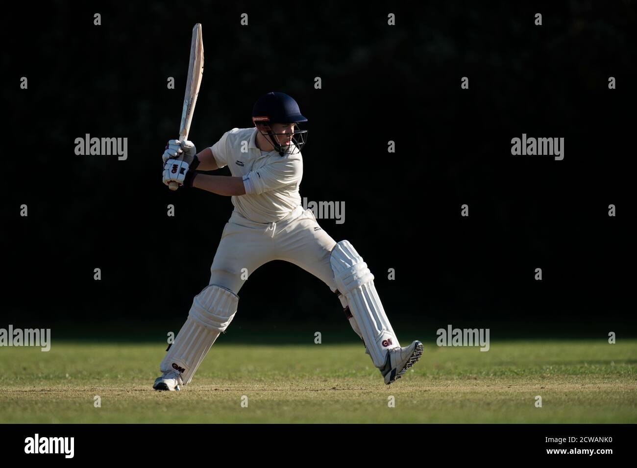 Cricket batsman playing shot Stock Photo - Alamy