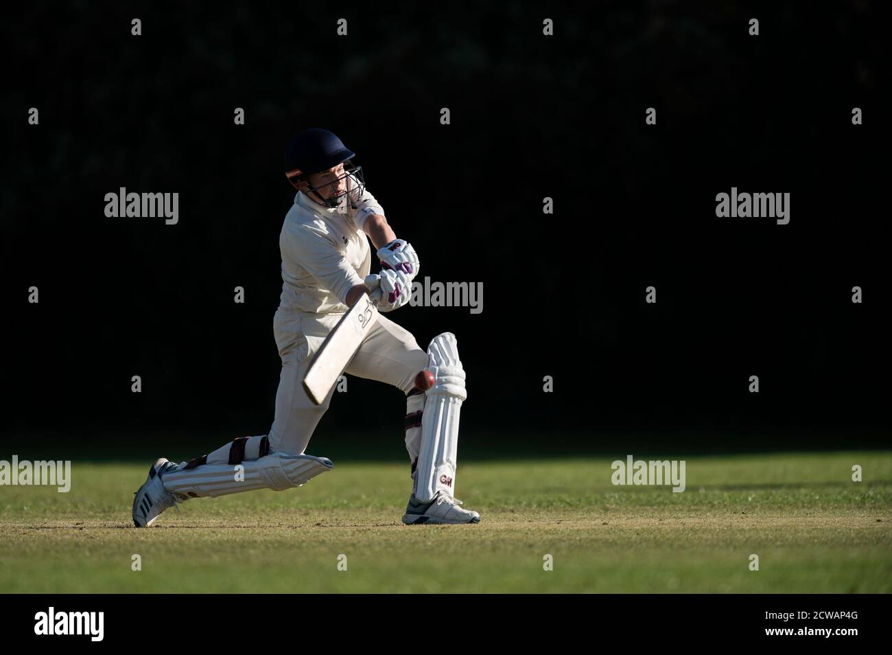 Cricket batsman playing shot Stock Photo - Alamy