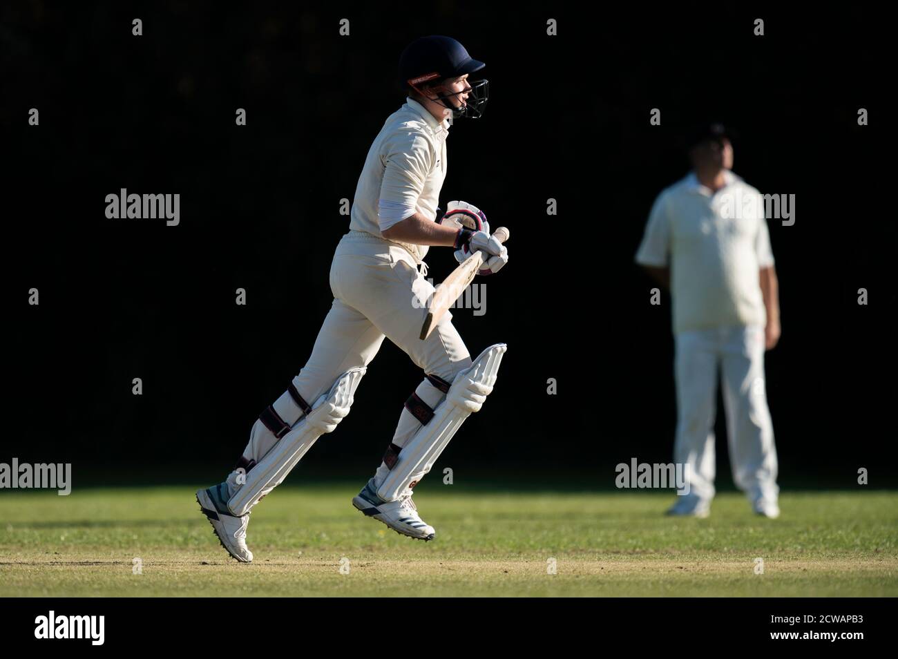 Sport cricket head shot hi-res stock photography and images - Alamy