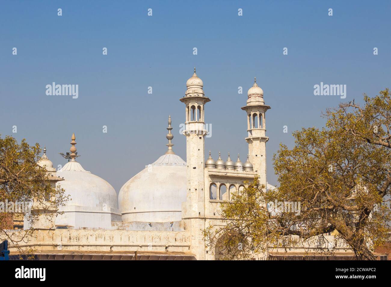 Kashi vishwanath temple hi-res stock photography and images - Alamy