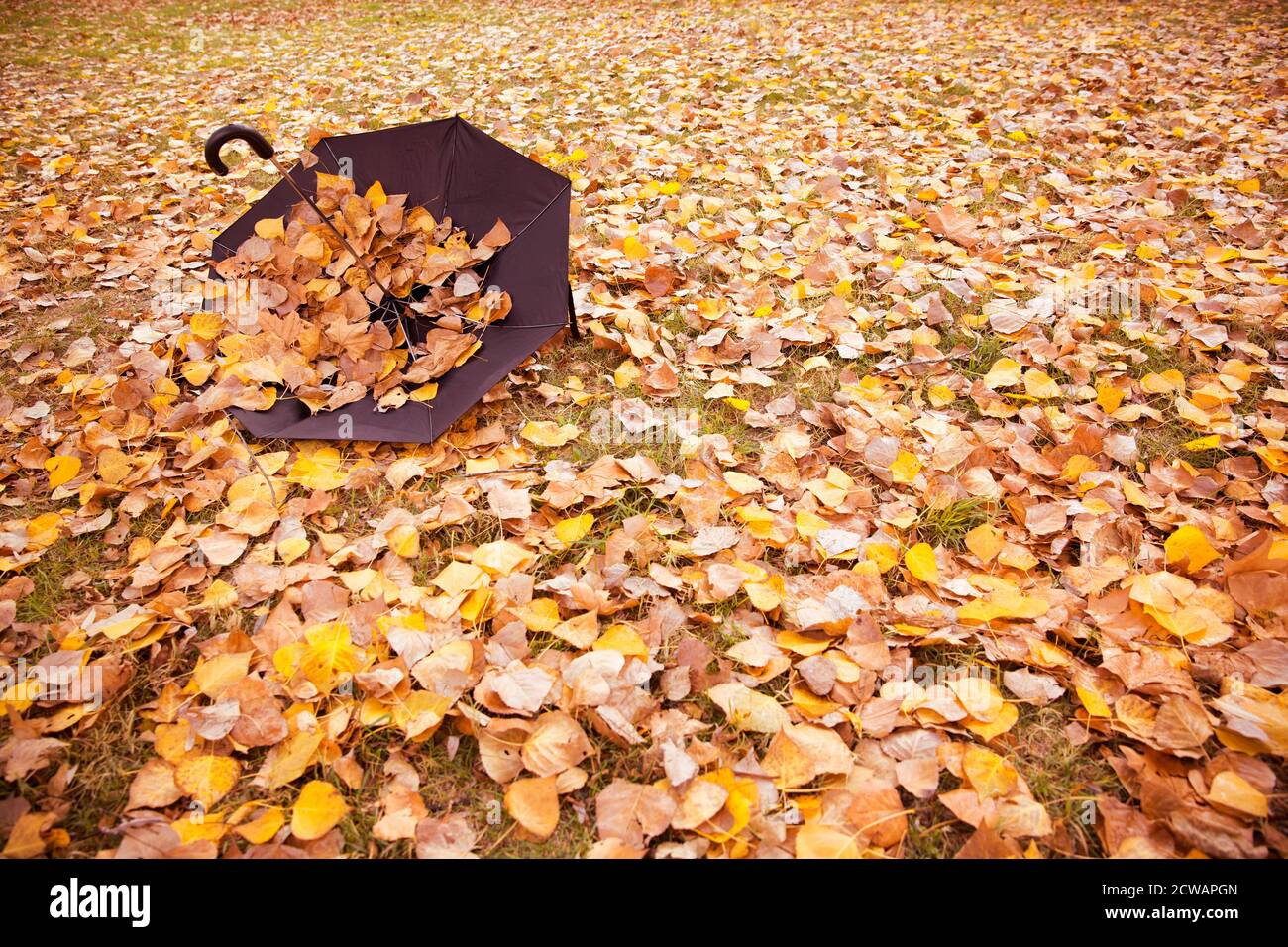 Landscaped outdoor space hi-res stock photography and images - Alamy