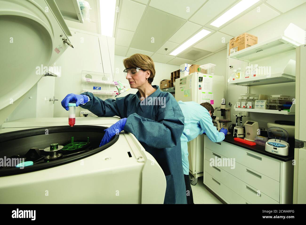 The U.S. FDA ensures public health safety by regulating drugs ...