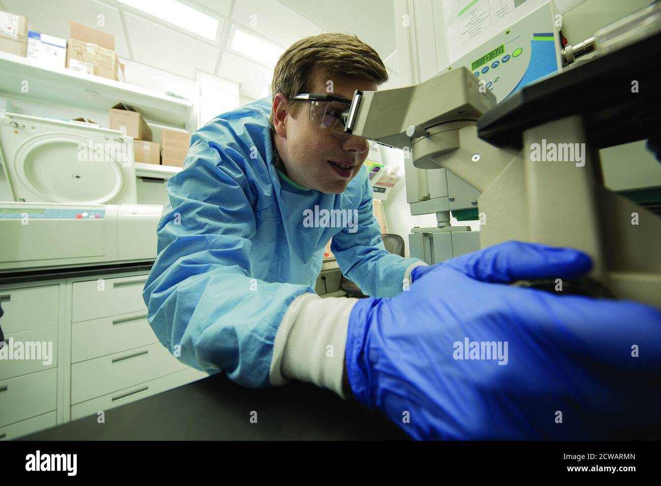The U.S. Food and Drug Administration (FDA) is responsible for ensuring ...