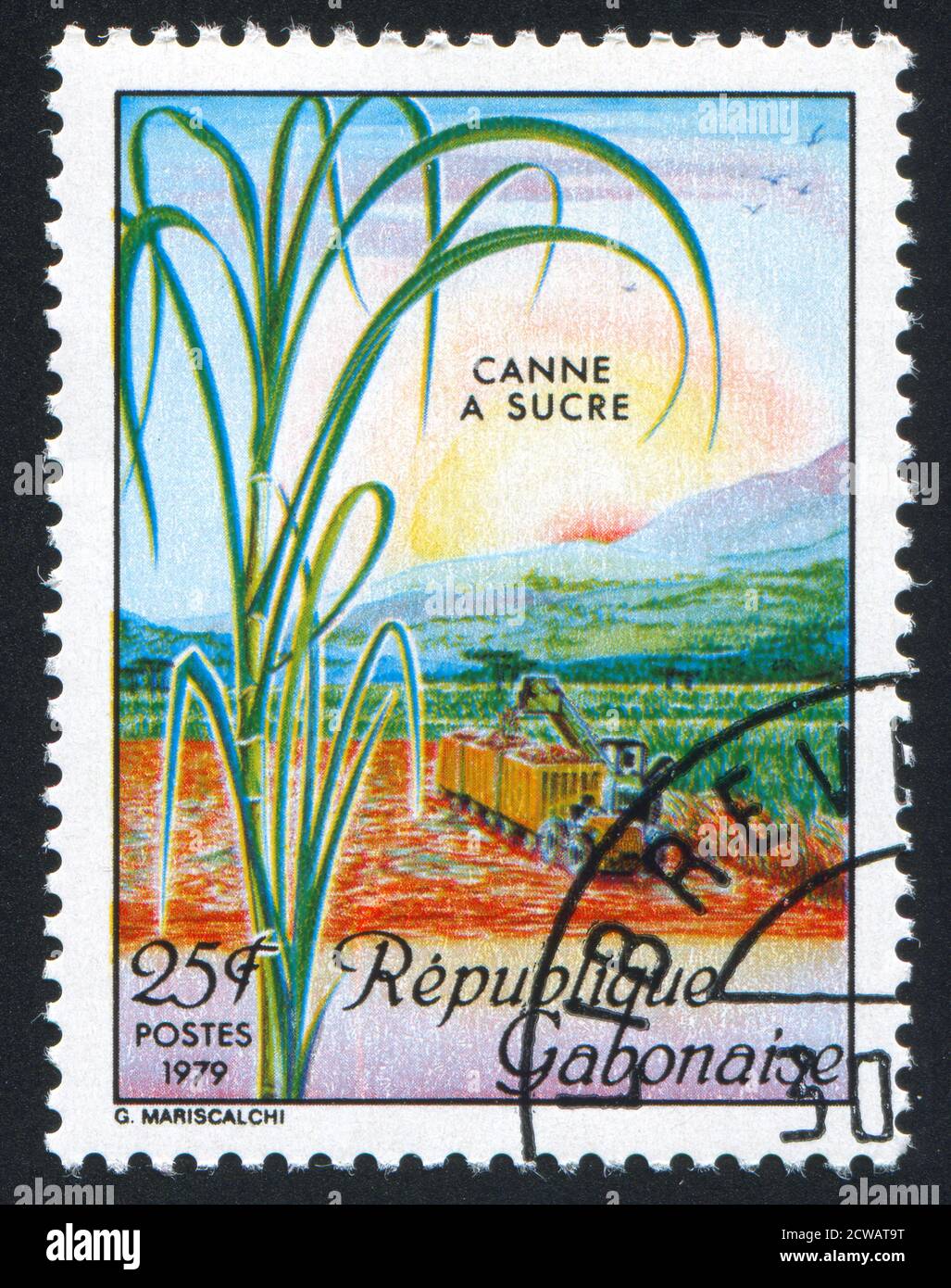 Gathering sugar cane hi-res stock photography and images - Alamy