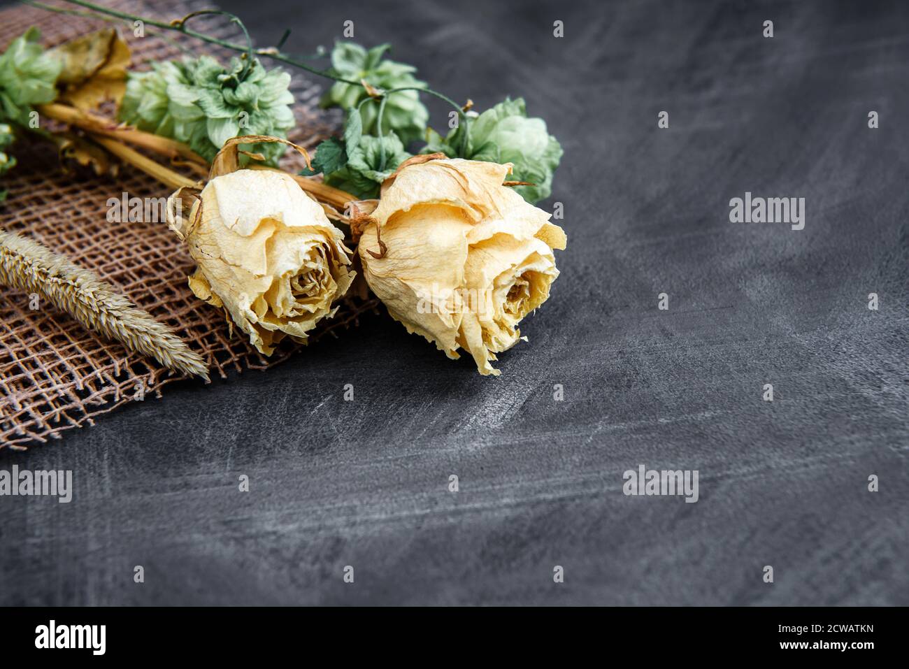 Sprigs of white dried roses on a black background in vintage style ...