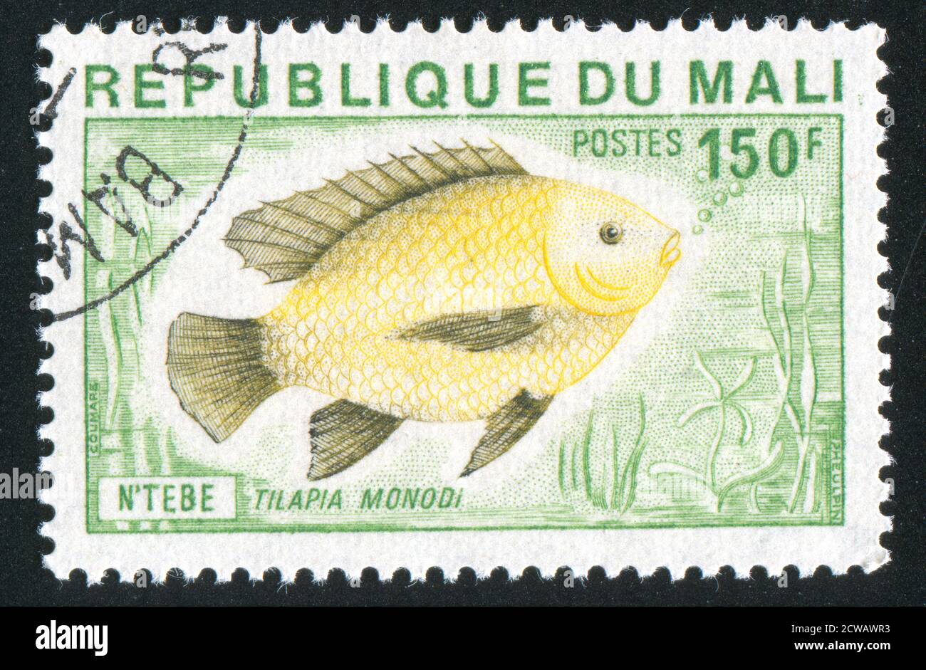 MALI CIRCA 1975: stamp printed by Mali, shows Tilapia, circa 1975 Stock ...