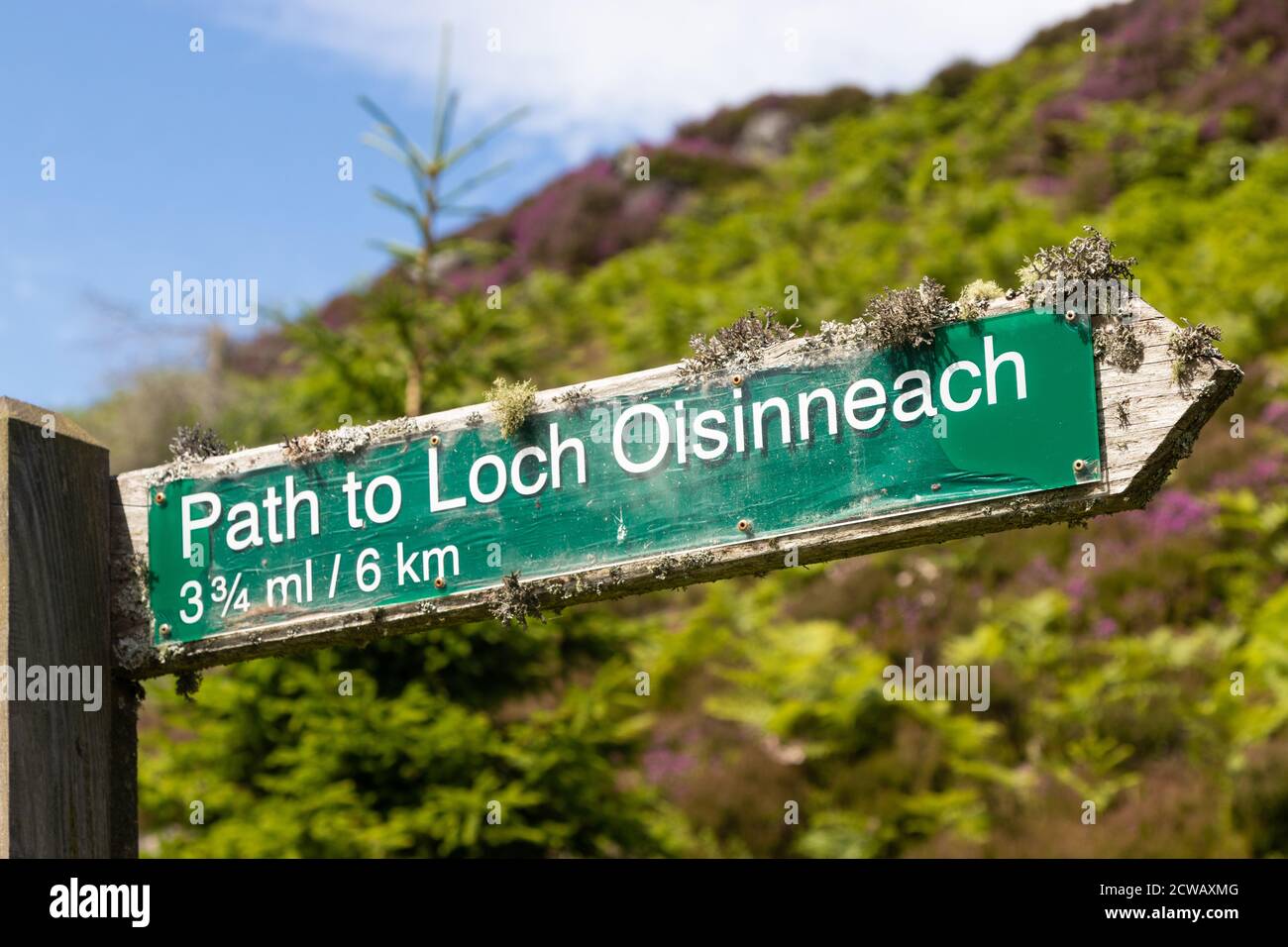 Pointing sign hi-res stock photography and images - Alamy