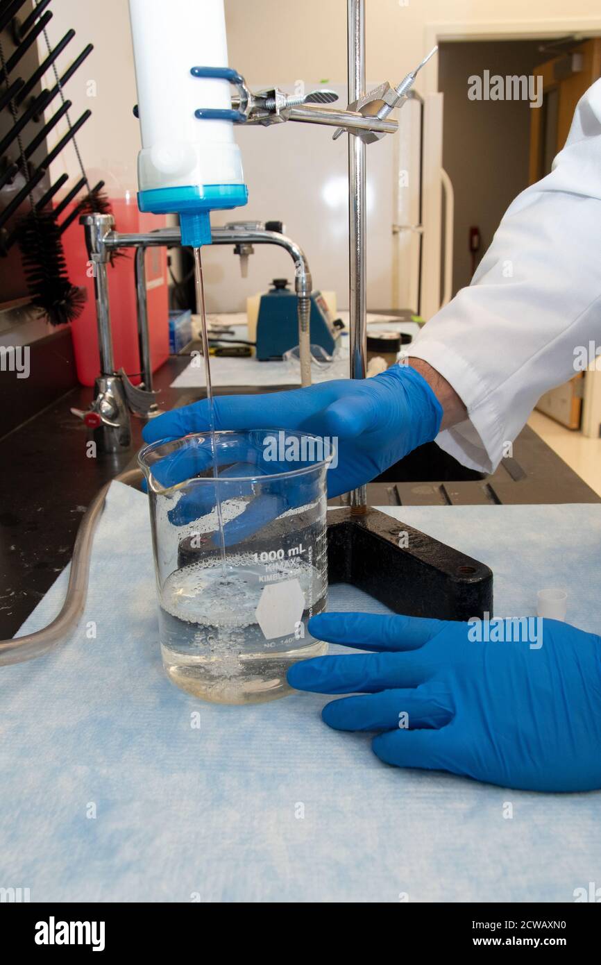 Parasitology hi-res stock photography and images - Alamy