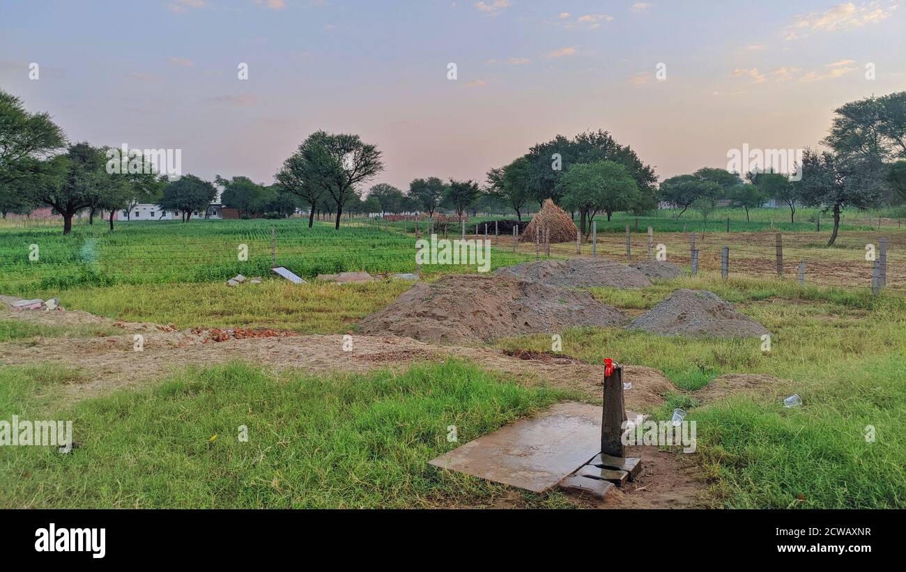 Morning time, Scenery green park and beautiful grass field Stock Photo ...