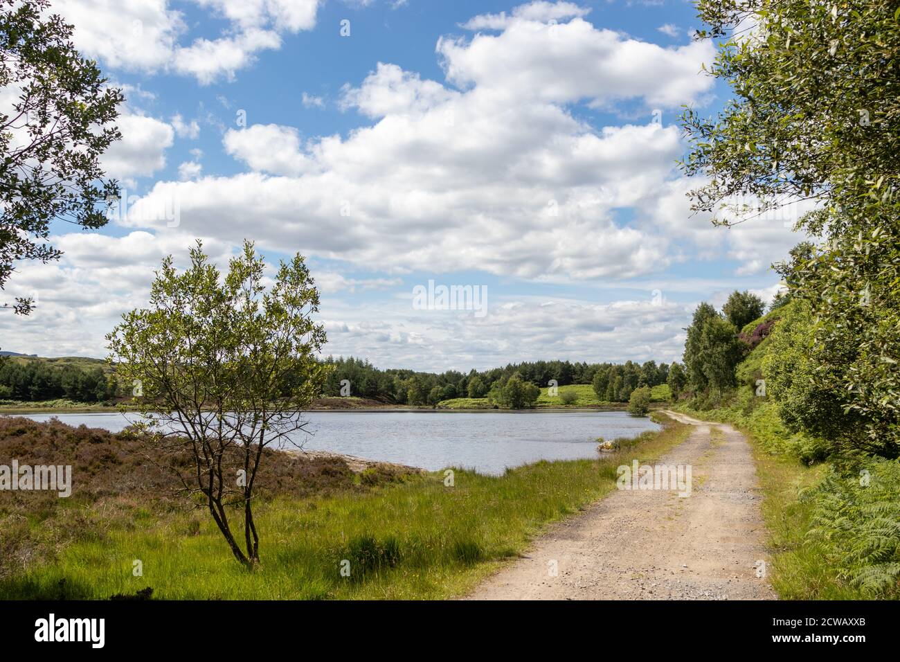 Rotmell High Resolution Stock Photography and Images - Alamy