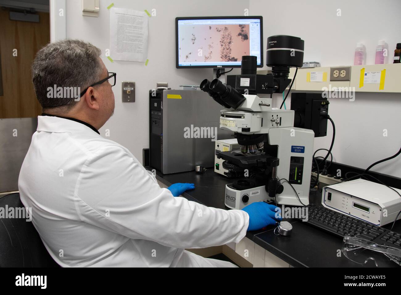 Parasitology hi-res stock photography and images - Alamy