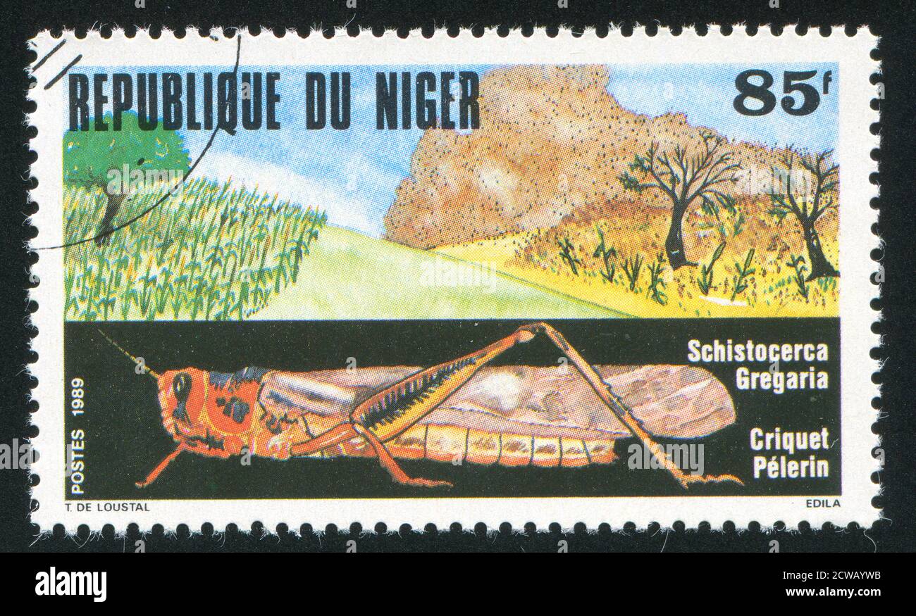 NIGER - CIRCA 1989: stamp printed by Niger shows Verdant Field, Field ...