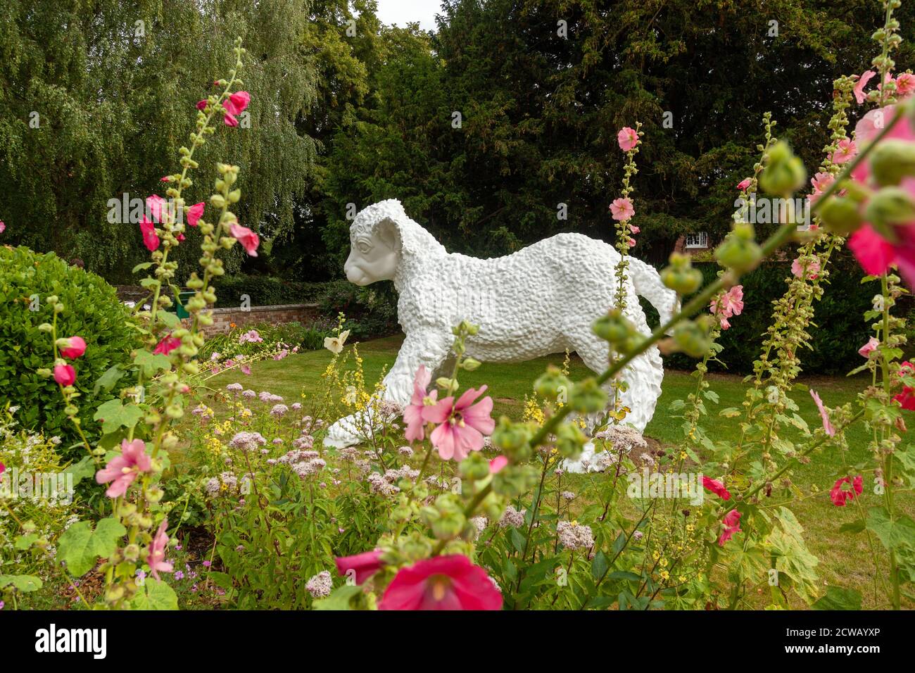 The Lamb by Gareth Knowles on the lawn at Salisbury Museum, Wiltshire ...