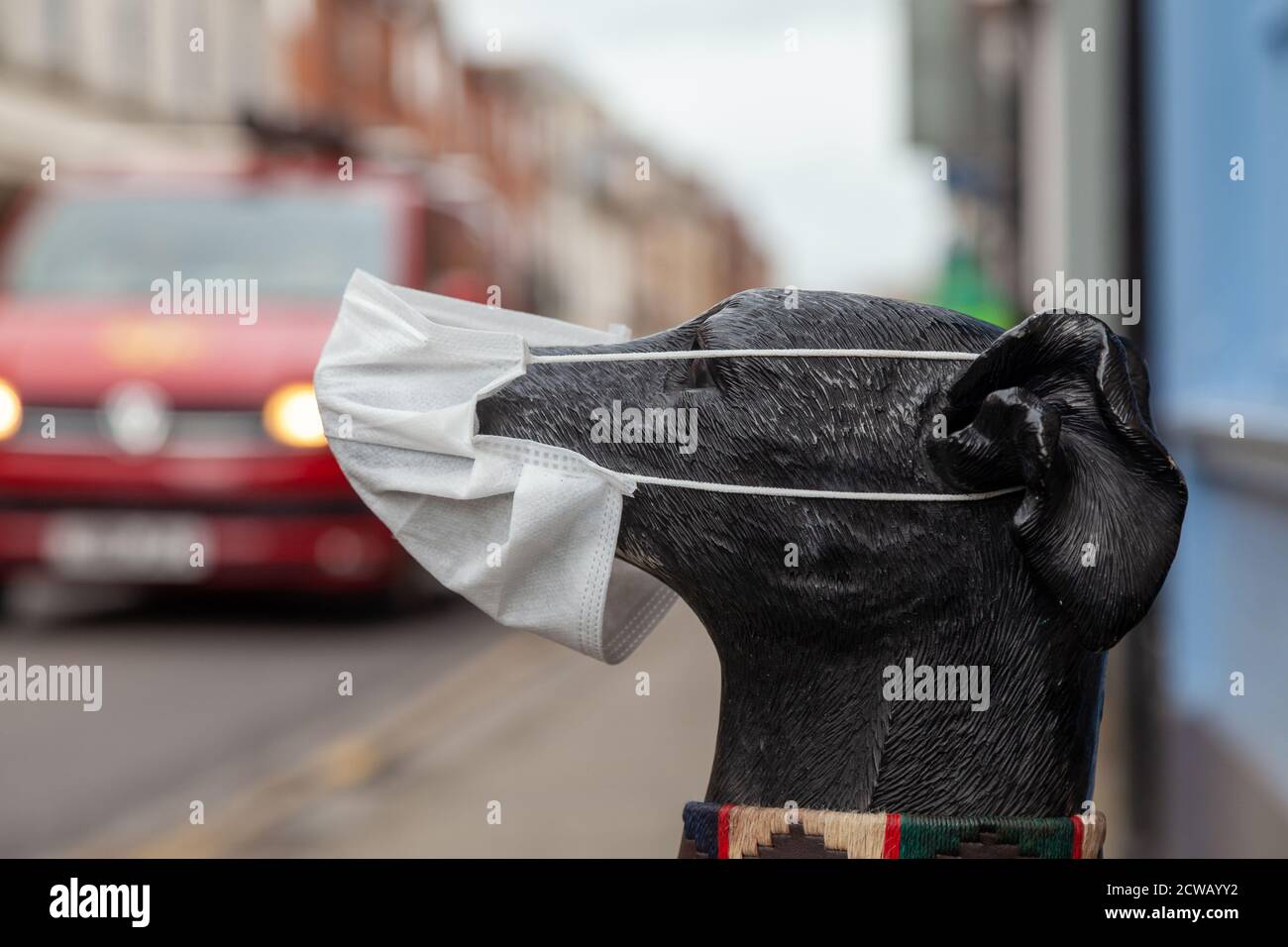 Statue of a dog wearing a Corona virus protective face mask Stock Photo ...
