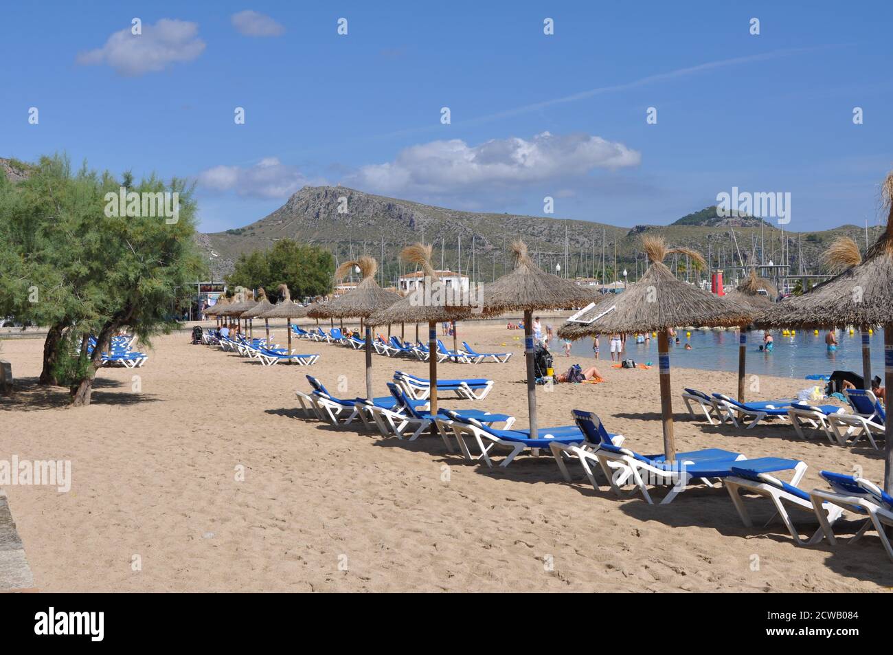 Beach scene at Puerto Pollensa Majorca Stock Photo - Alamy