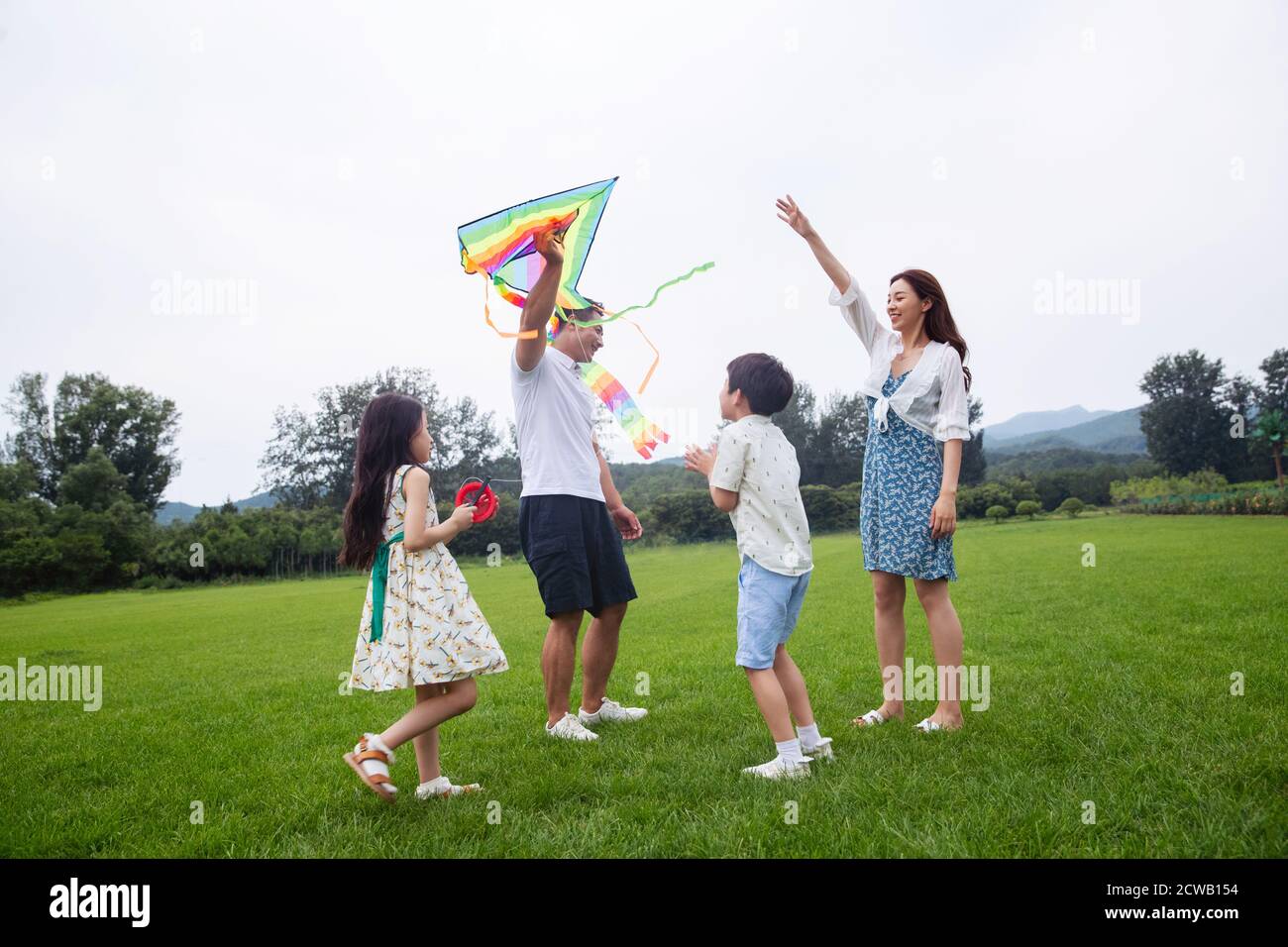 The happy family of four is flying a kite on the grass Stock Photo - Alamy
