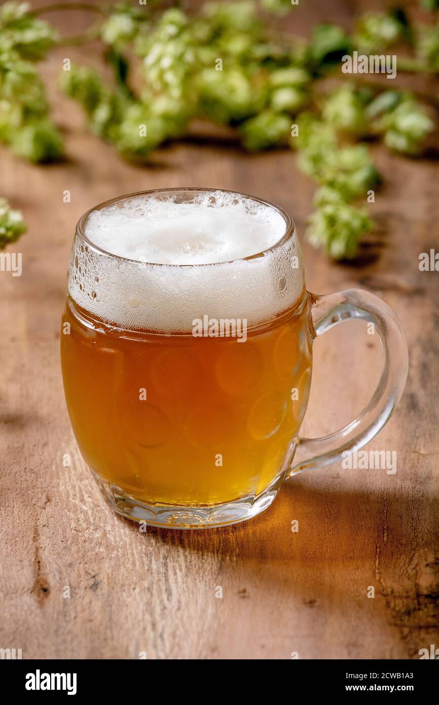 Classic glass mug of fresh cold foamy lager beer with green hop cones ...