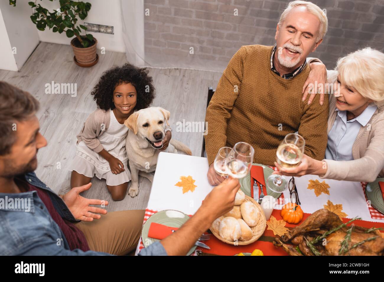 American golden retriever hi-res stock photography and images - Alamy