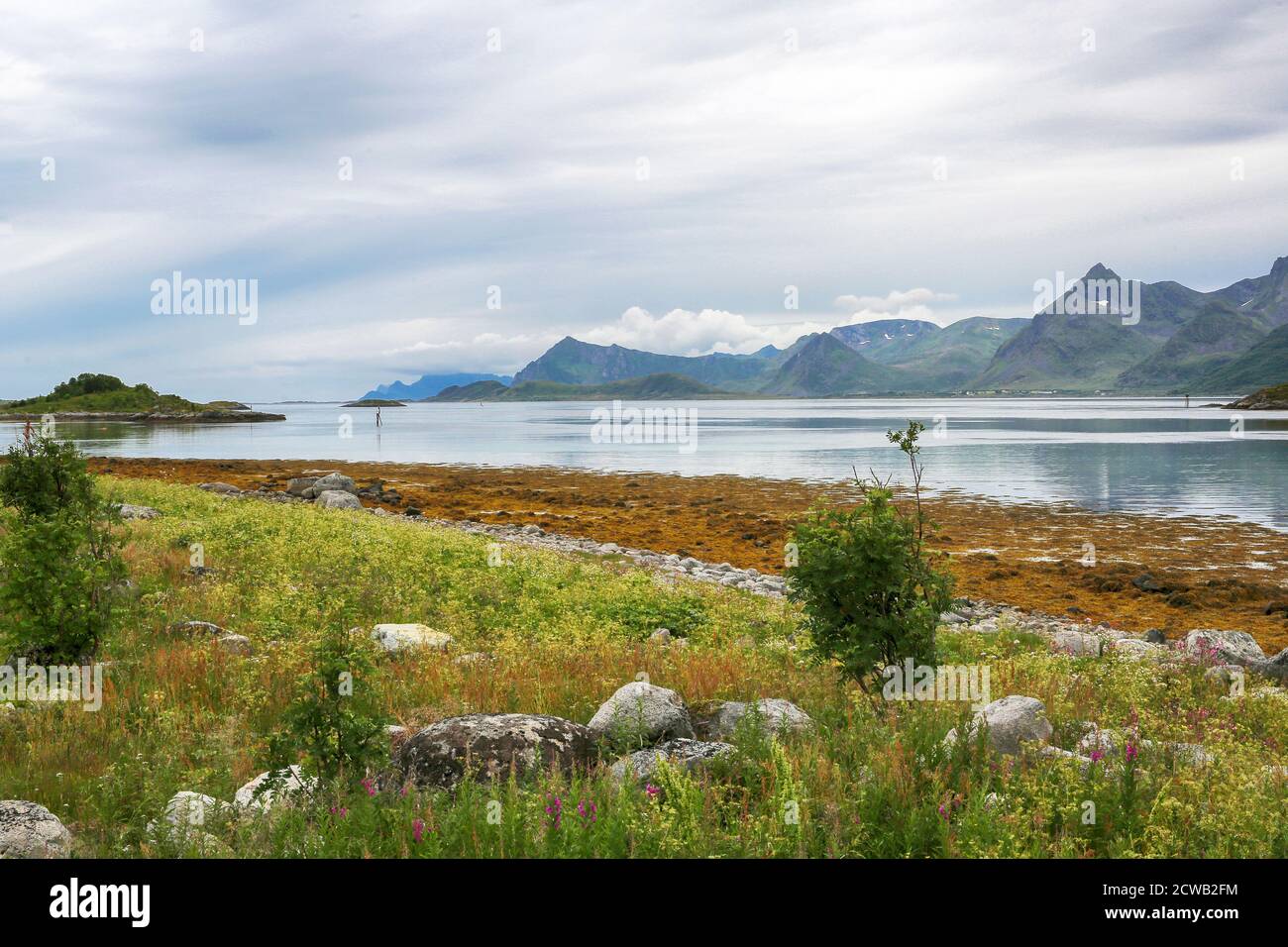 Norwegian coast line, landscape at Lofoten islands Stock Photo - Alamy