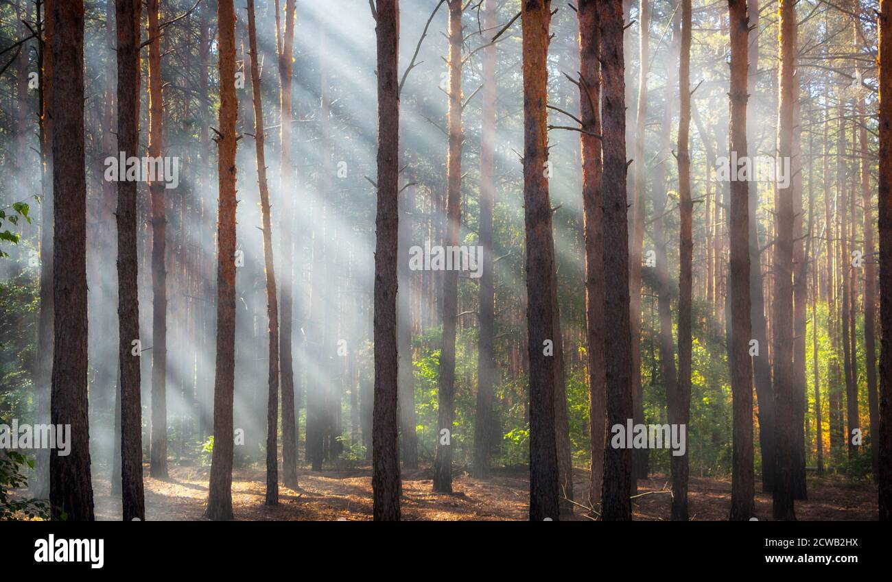 Rays sun in smoke fire hi-res stock photography and images - Alamy