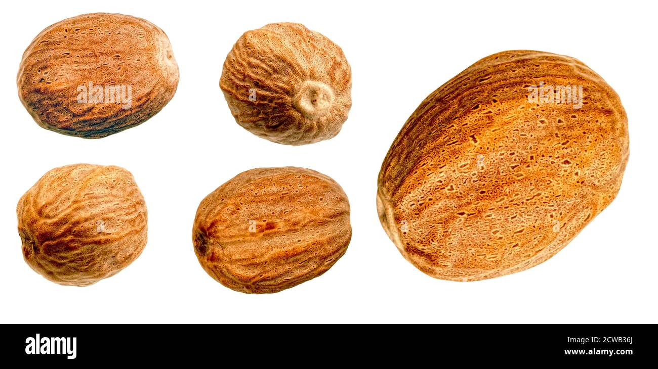 Indian nutmeg hi-res stock photography and images - Alamy