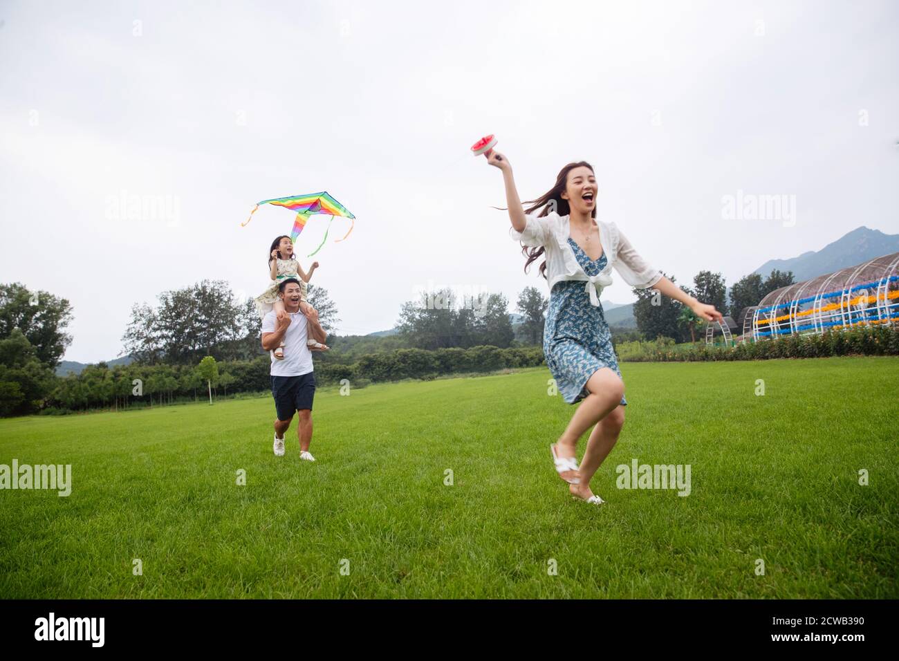 My happiness is flying a kite on the grass Stock Photo - Alamy
