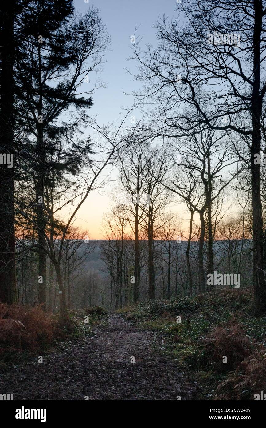 The setting sun casts it's last beams of the day through through the ...