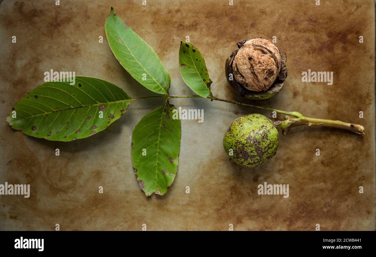 Outer casing hi-res stock photography and images - Alamy