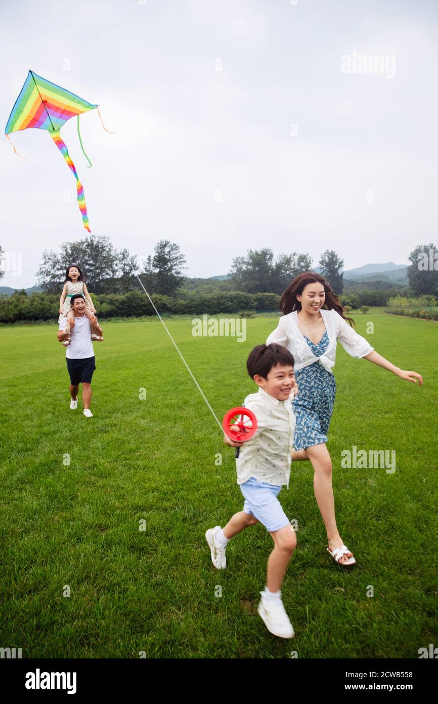 The happy family of four is flying a kite on the grass Stock Photo - Alamy