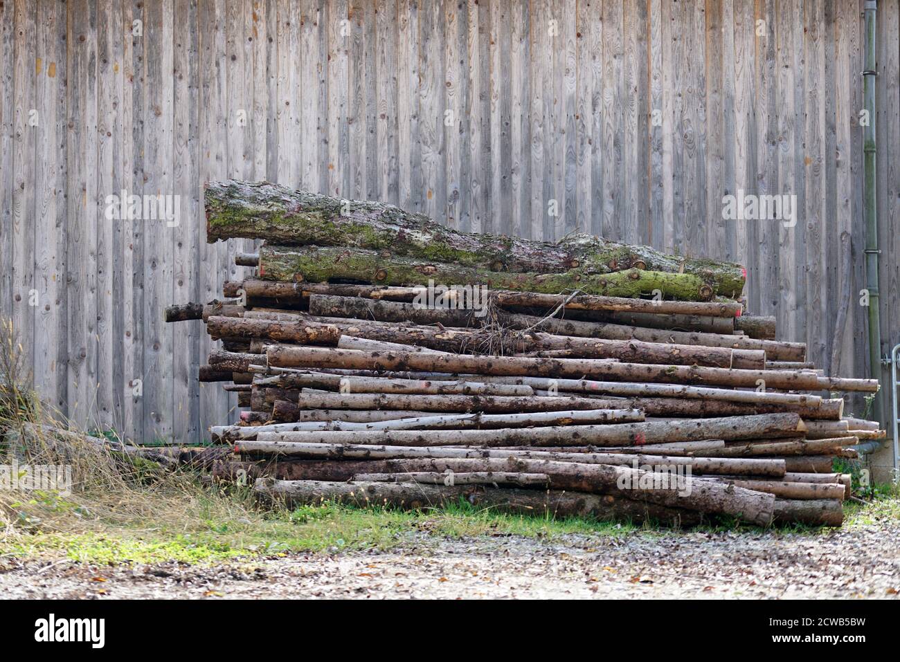 Pile of logs in front of a fence Stock Photo - Alamy