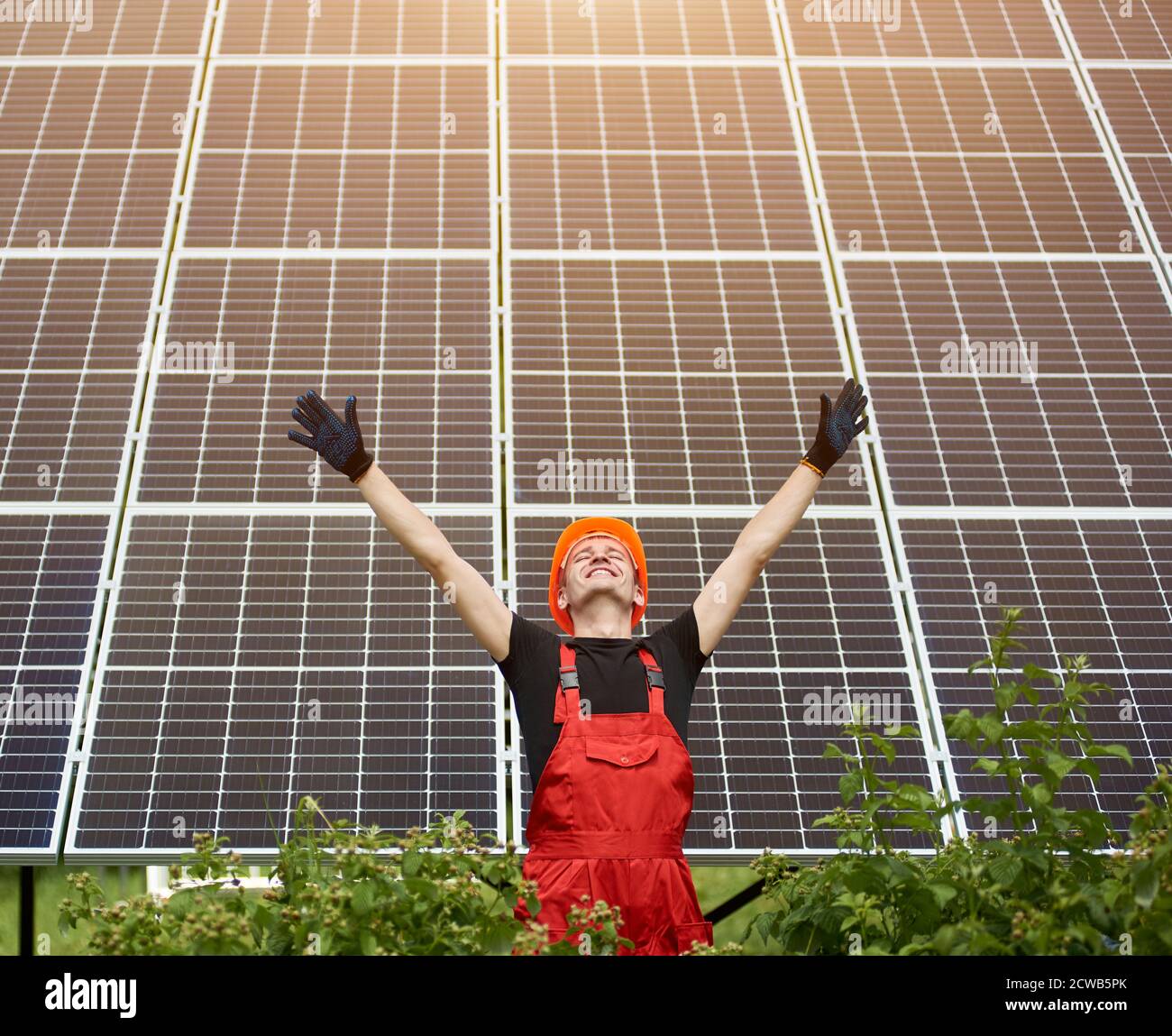 Happy successful worker near solar station raising his hands on a ...