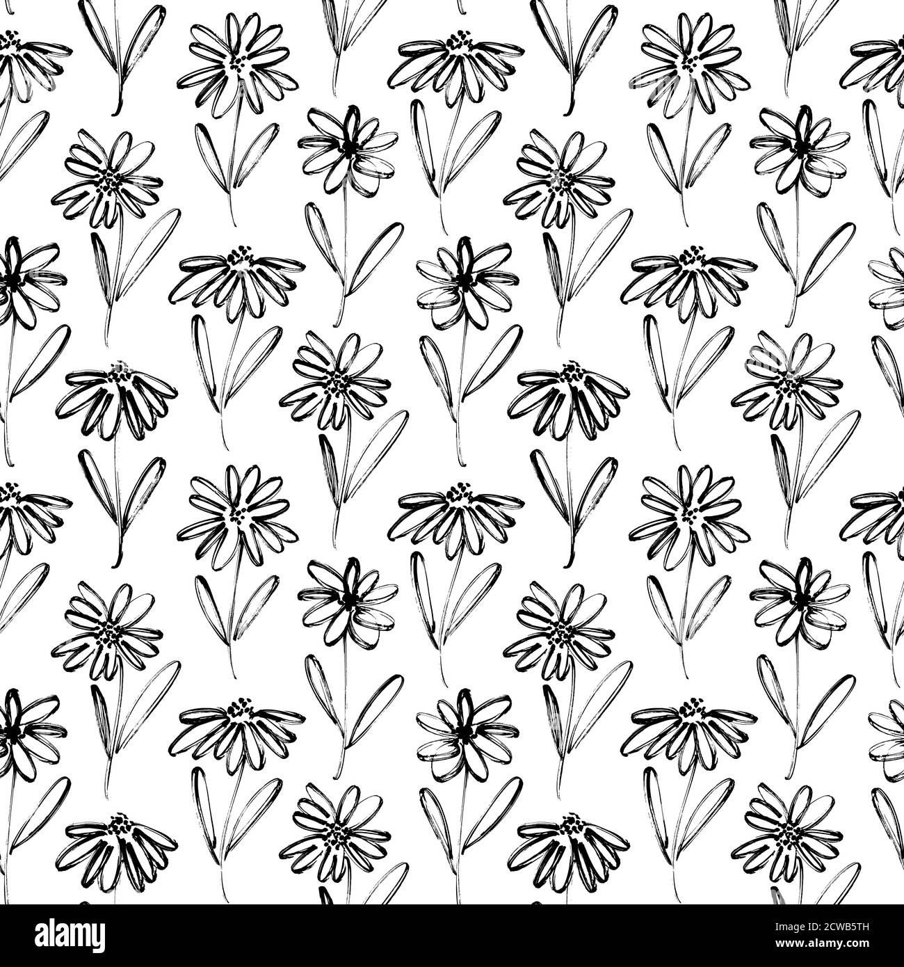 Daisy flower vector art Black and White Stock Photos & Images - Alamy