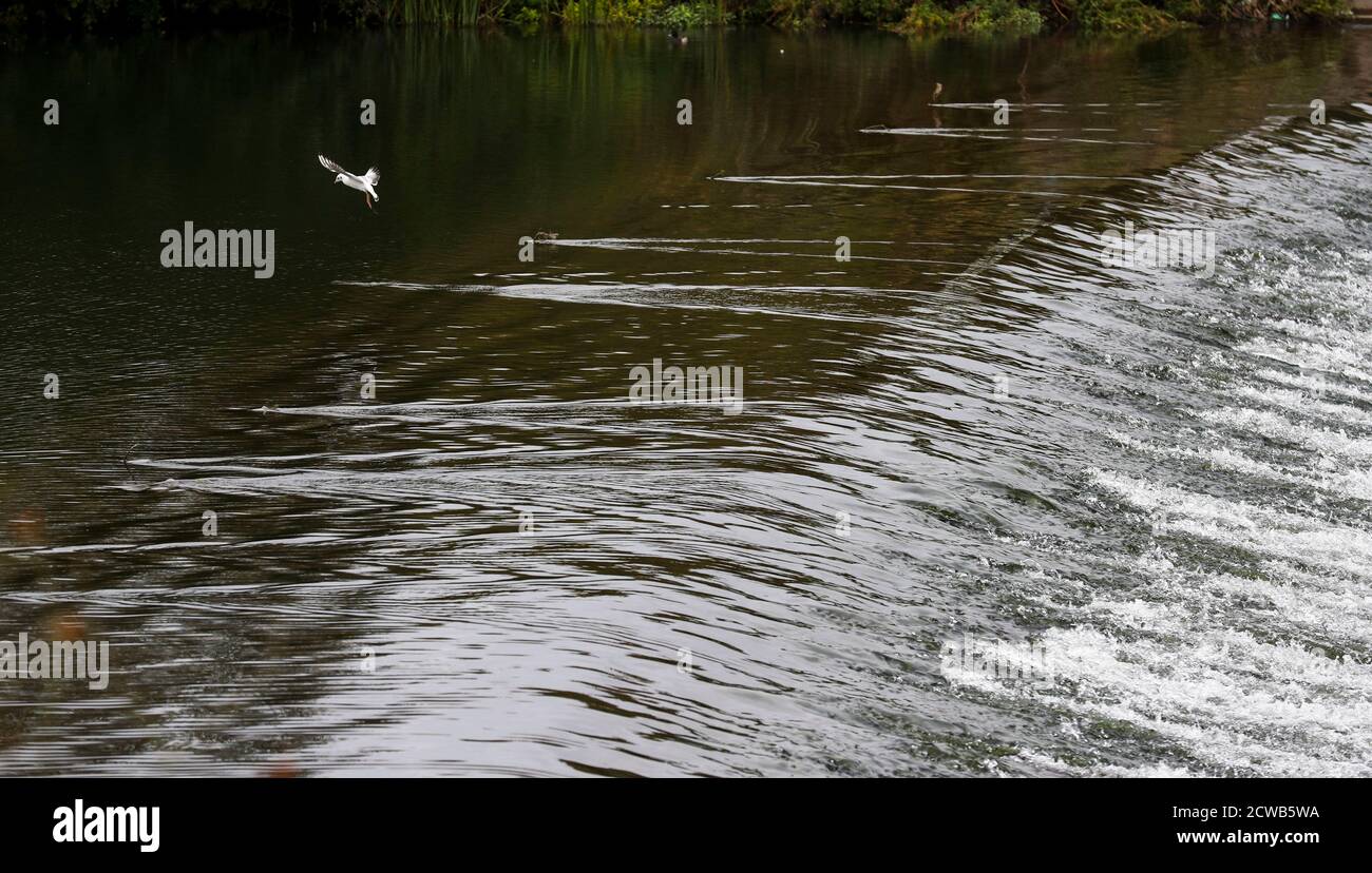 Weir jubilee river hi-res stock photography and images - Alamy