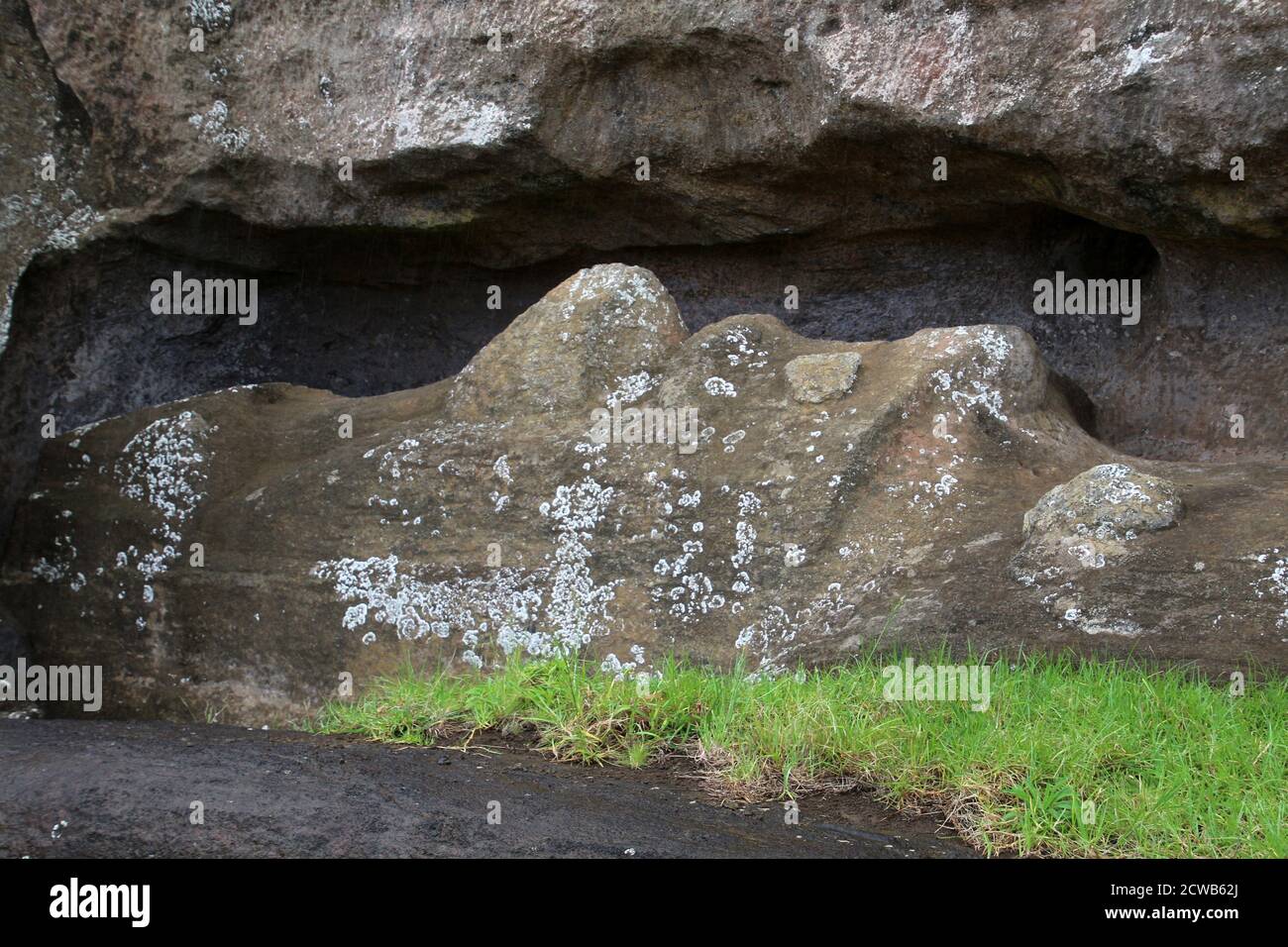 An incomplete moai in quarry at Rano Raraku- the Moai factory on Easter ...