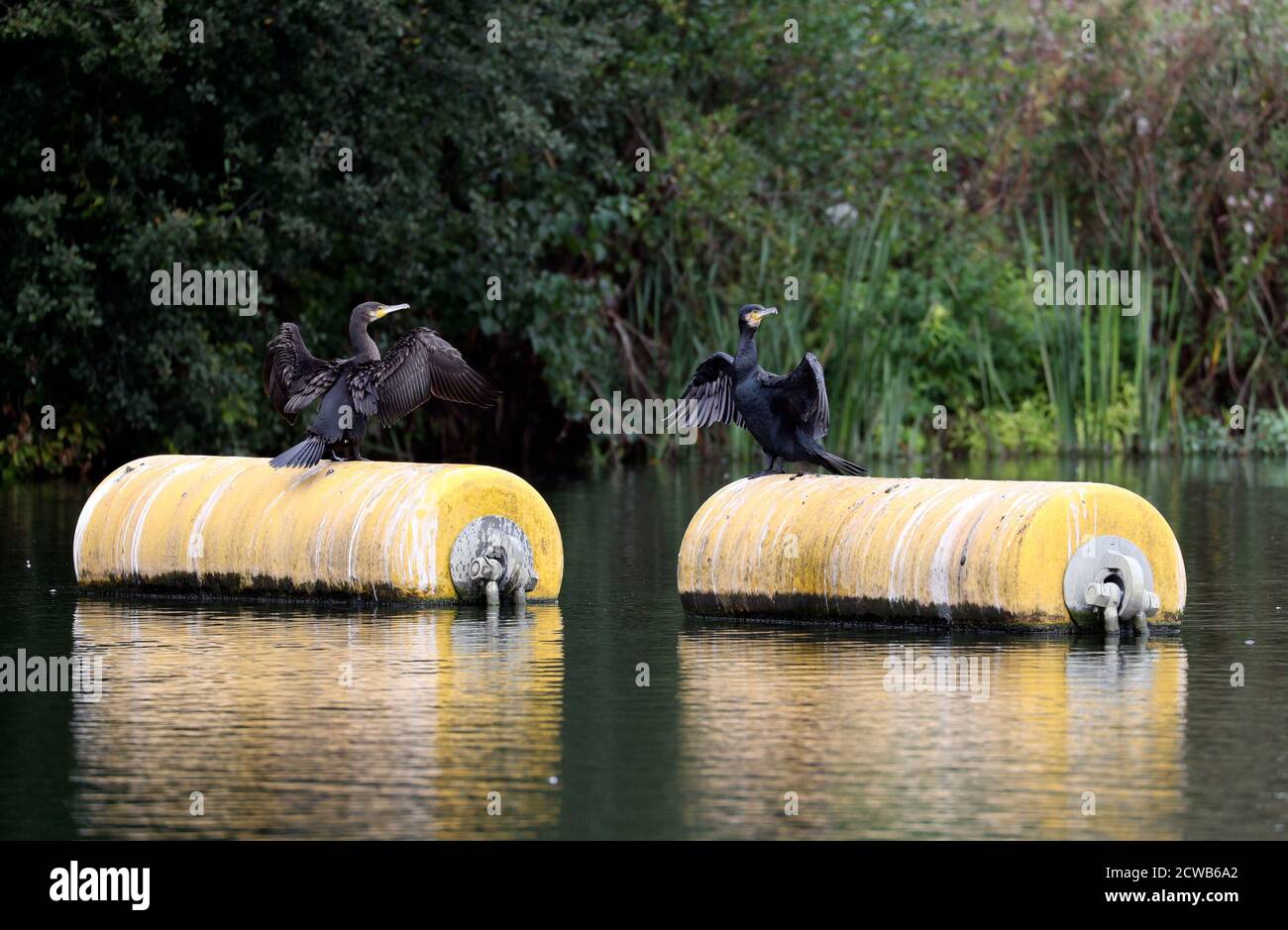 River slough uk hi-res stock photography and images - Alamy