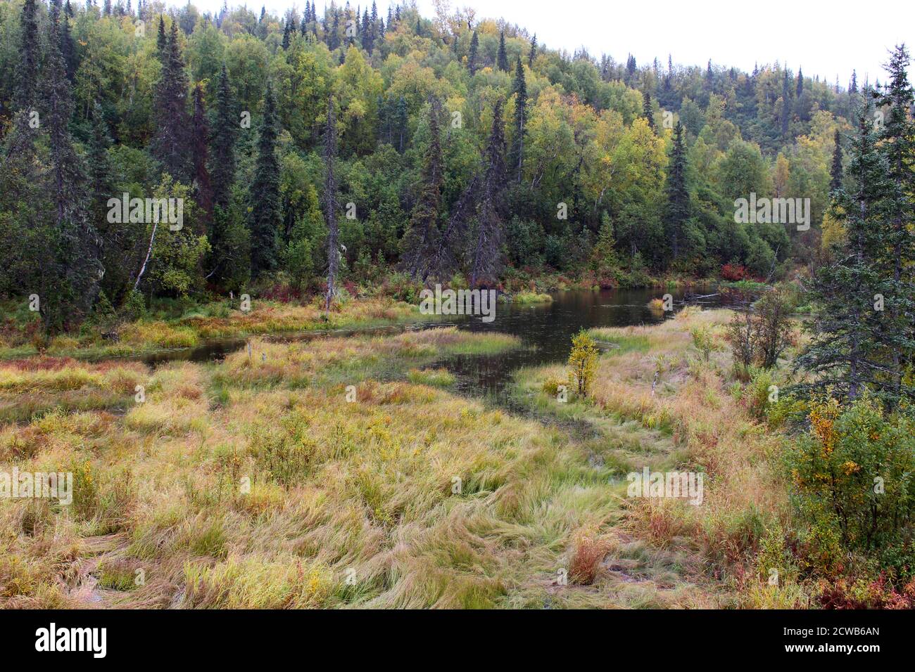 Denali National Park in autumn, Alaska, United States Stock Photo - Alamy