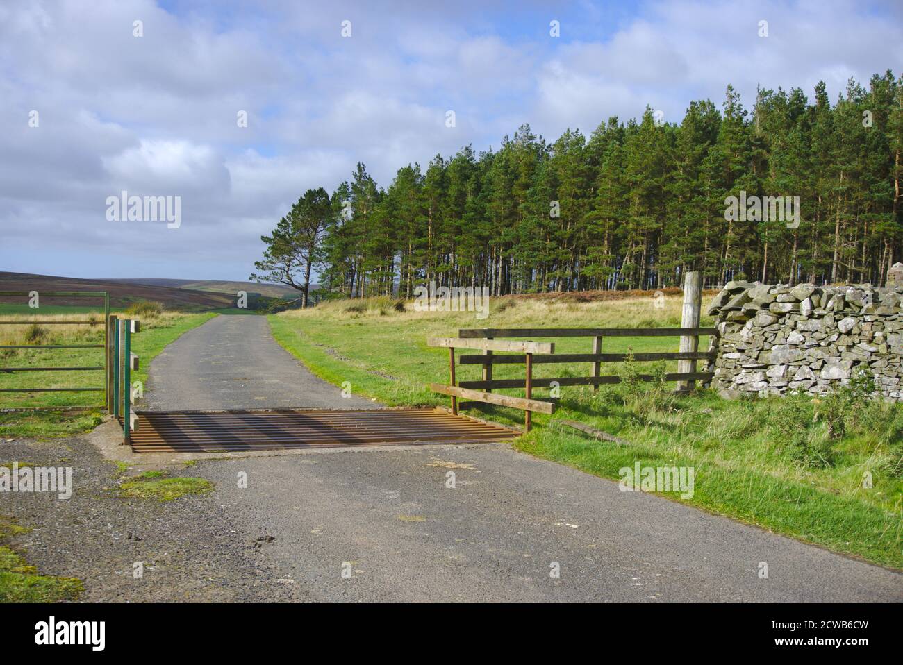 Cattle grid, dry stone wall and trees on the Southern Uplands Way near ...