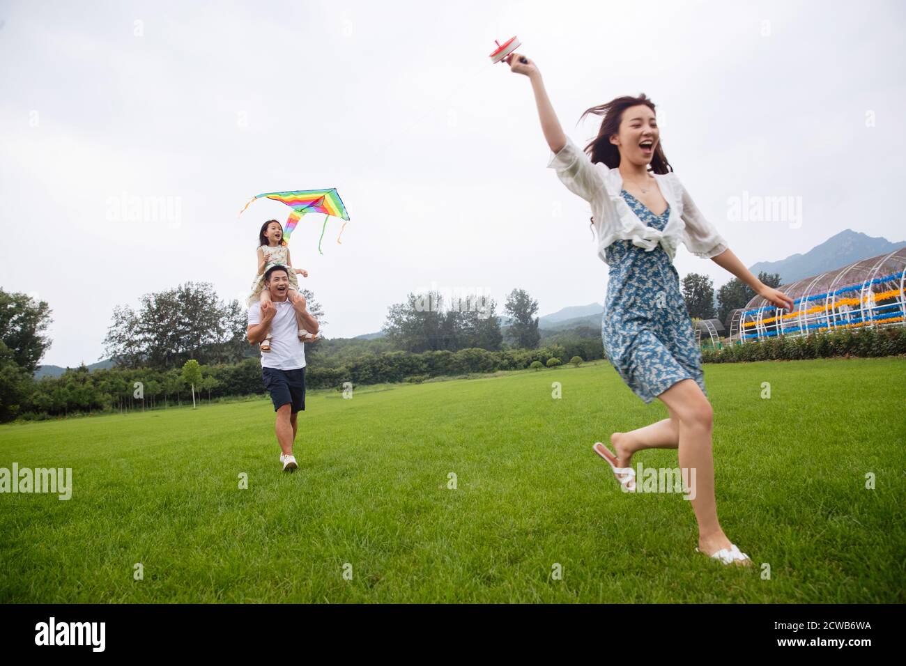 My happiness is flying a kite on the grass Stock Photo - Alamy